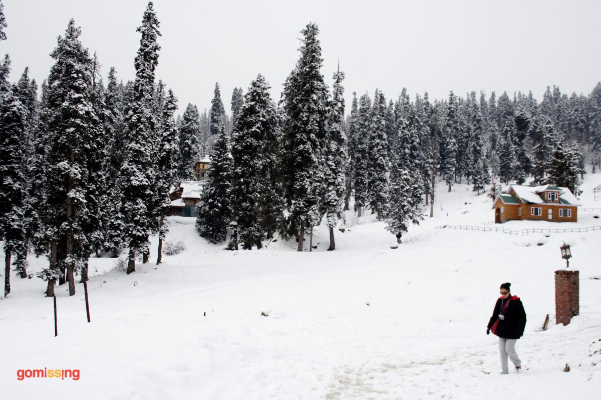 Gulmarg in Winters: A Gem in Kashmir's Crown