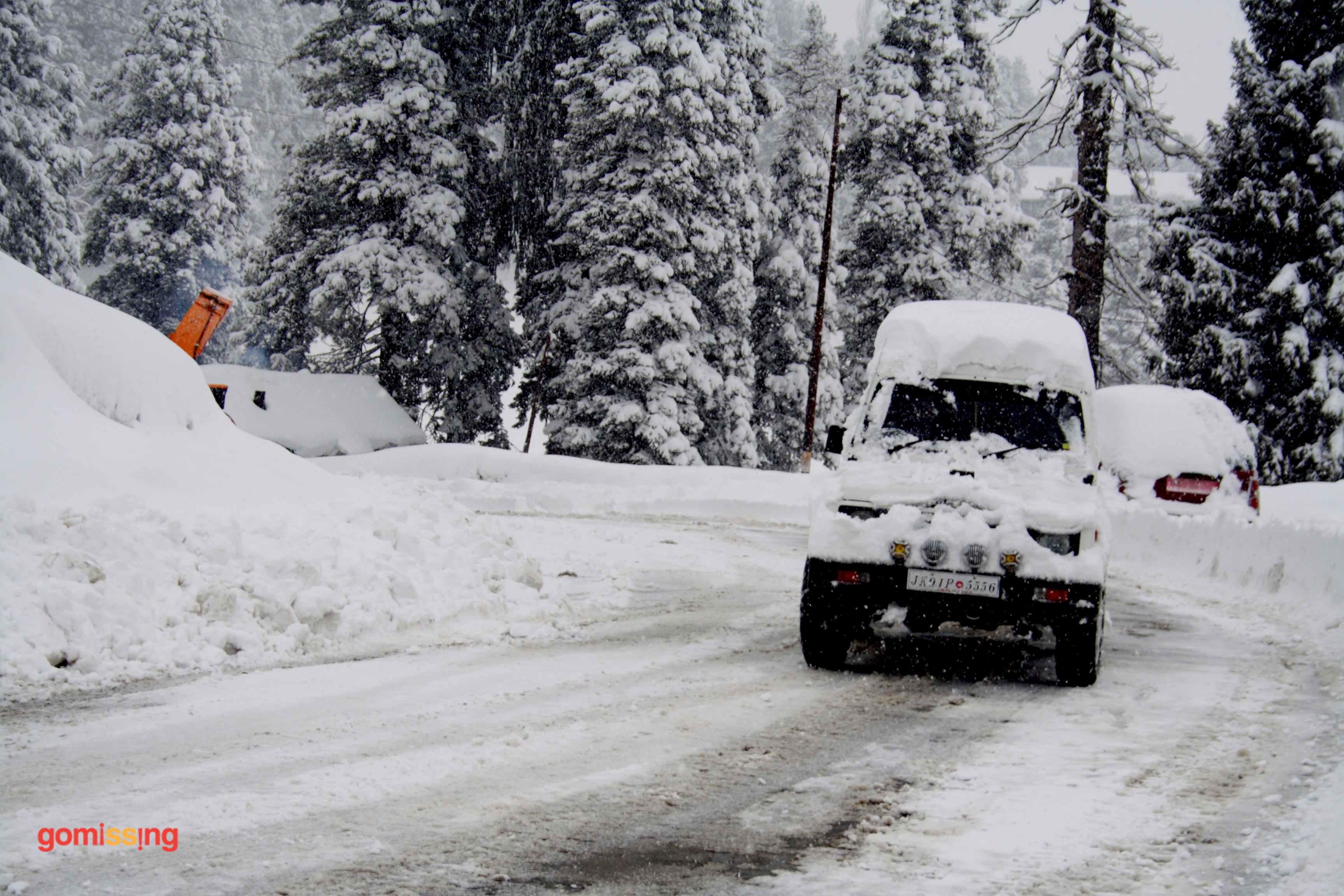 Gulmarg in Winters: A Gem in Kashmir's Crown