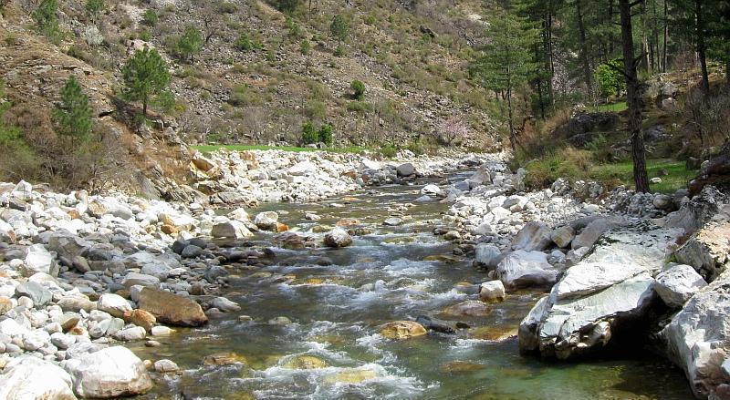 11 Reasons You Have to Visit Tirthan this Season