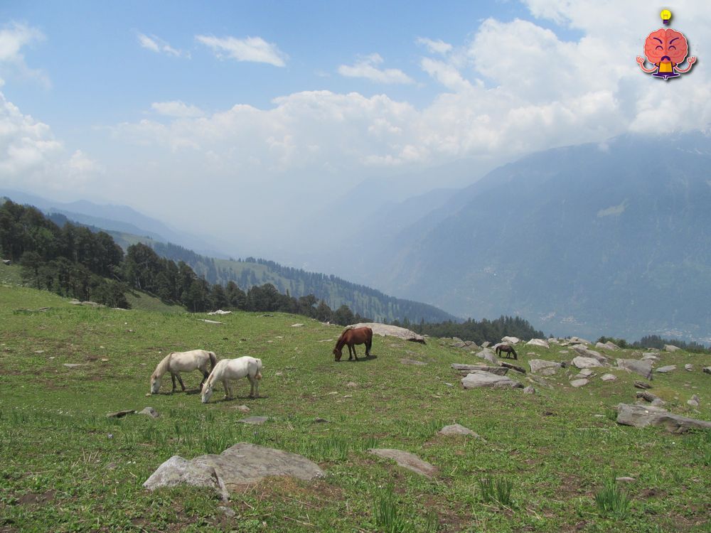 Hamta Circle: The ONLY Trek You Need to Do If You're a Mountain Lover