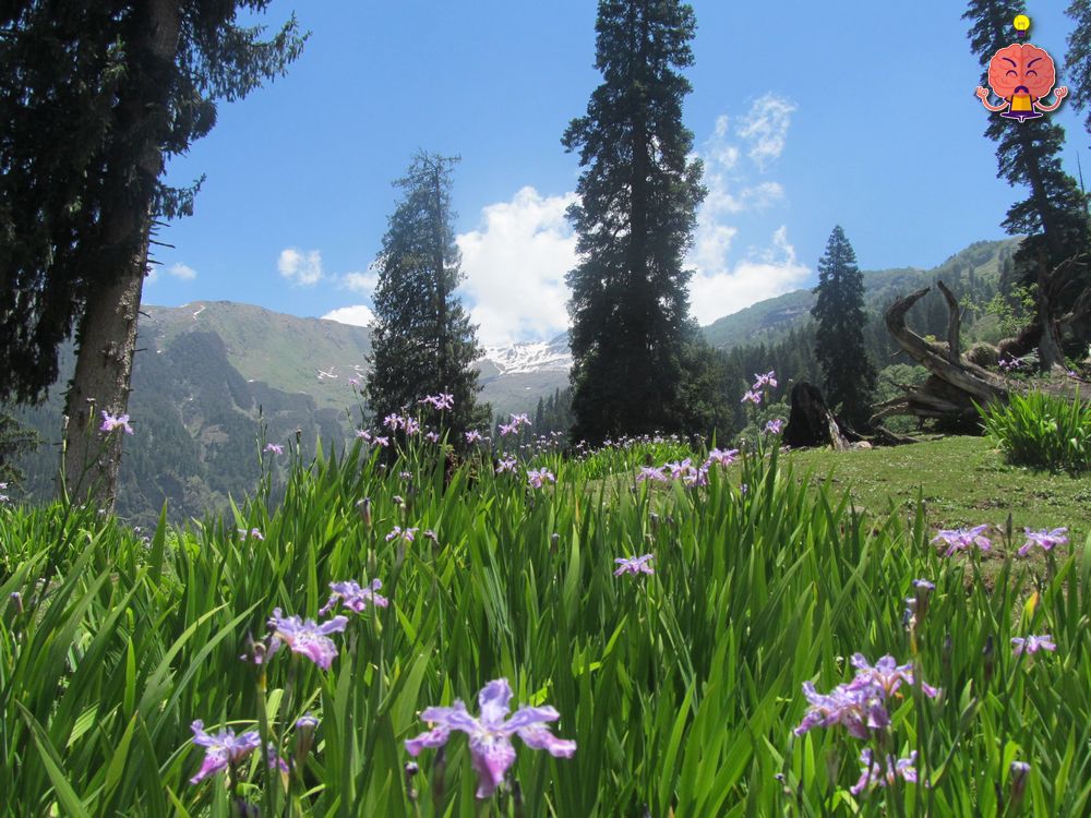 Hamta Circle: The ONLY Trek You Need to Do If You're a Mountain Lover